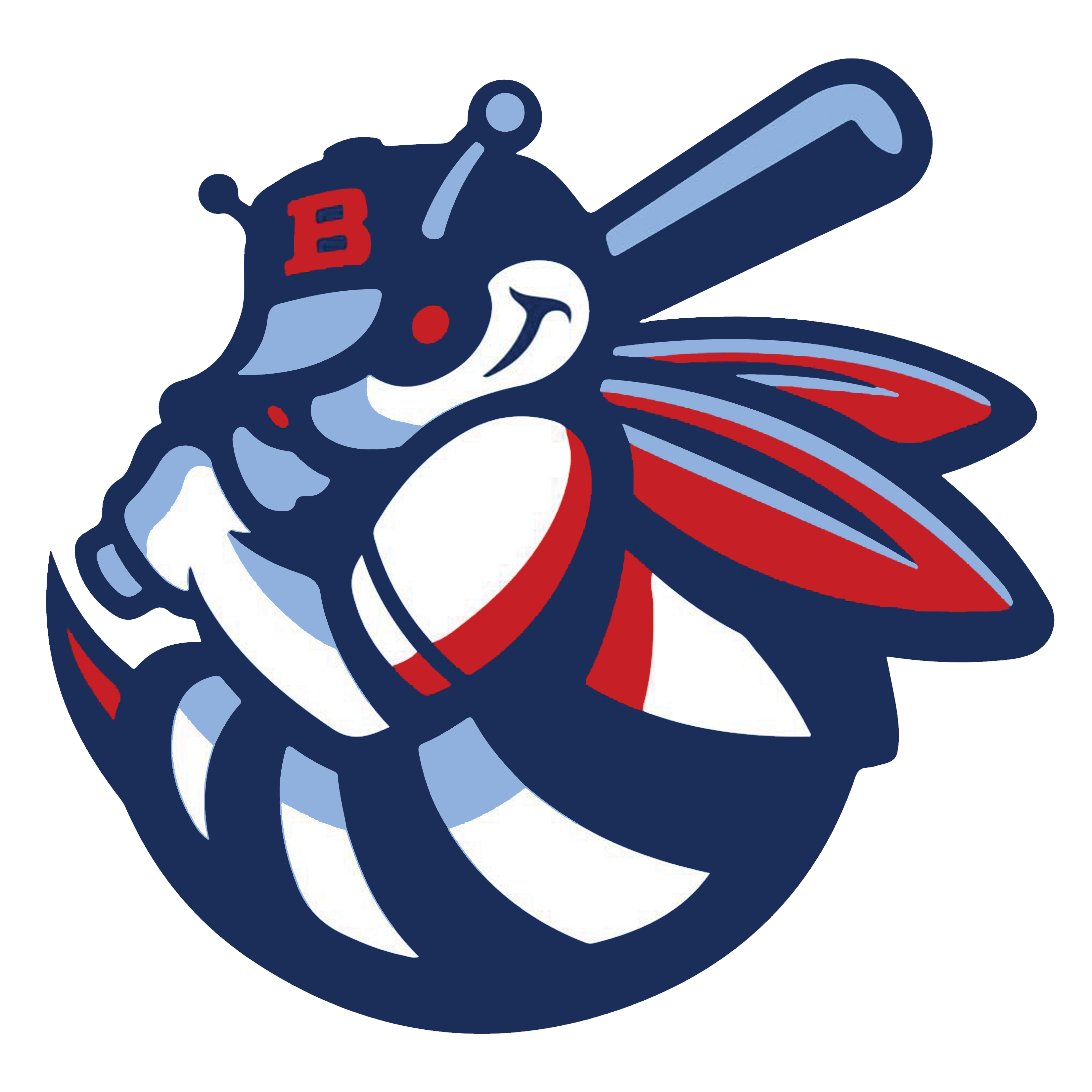 Birmingham Buzz – Ballistic Sports Apparel